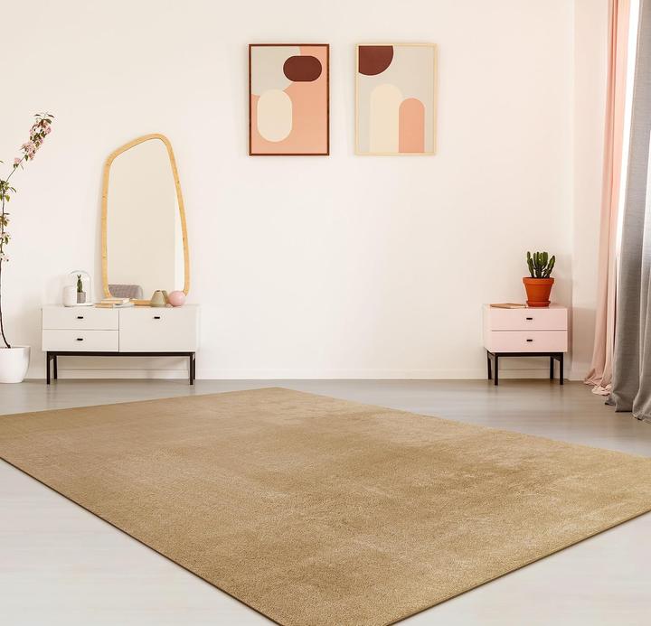 Paco Home Teppich Weich Super Soft Wohnzimmer Taupe - 240x340 (240 x ...