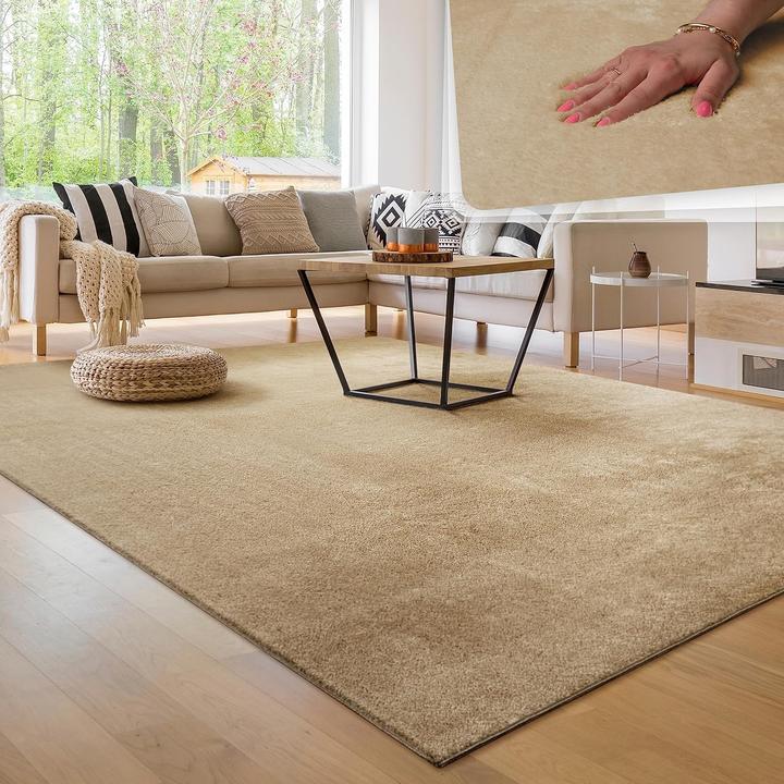 Paco Home Teppich Weich Super Soft Wohnzimmer Taupe - 240x340 (240 x ...