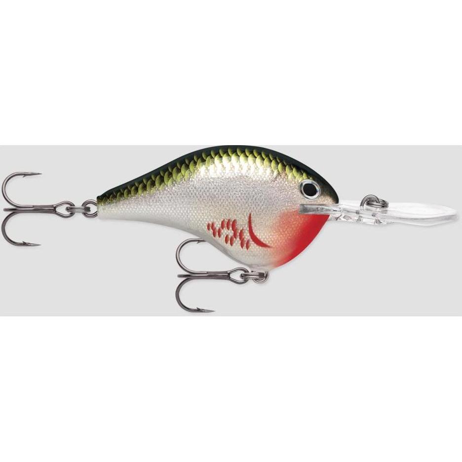 Rapala DT (DIVES-TO) SERIES - kaufen bei Galaxus