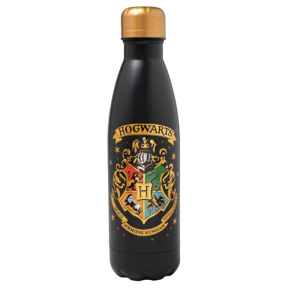 Grupo Erik Harry Potter Metal Water Bottle 500ml 17oz - Dobby - Galaxus