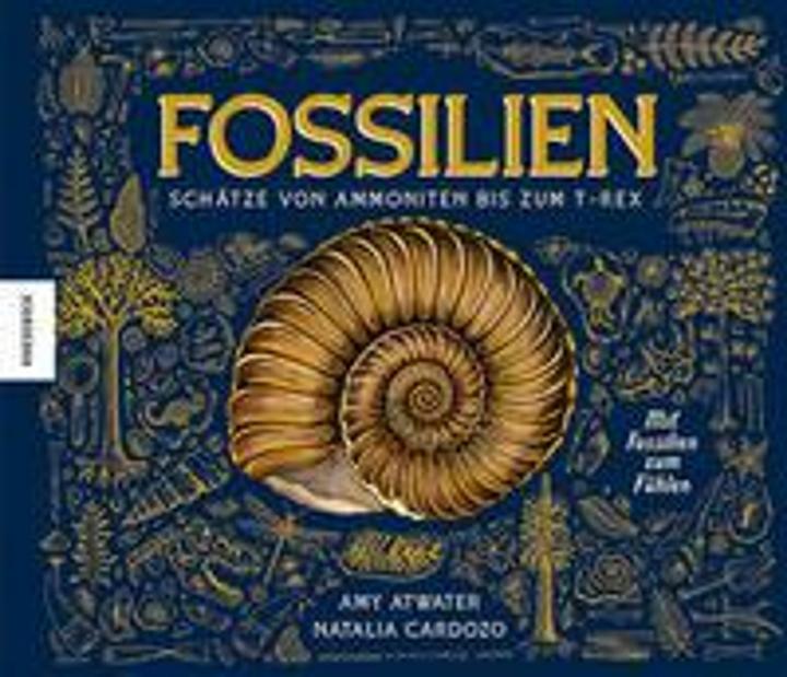 Zubehör für Fossilien – Schätze von Ammoniten bis zum T. Rex - Galaxus