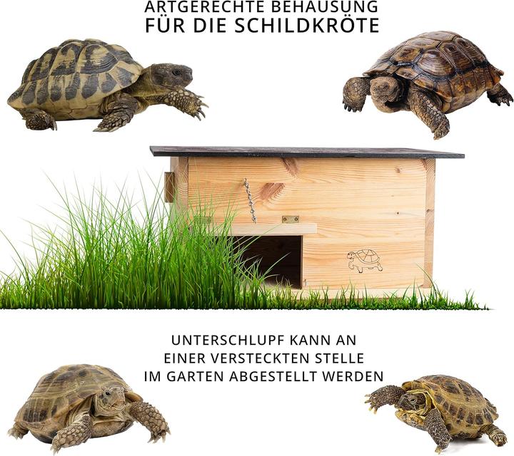 Woid Herz Maison des tortues SH2 - acheter sur Galaxus