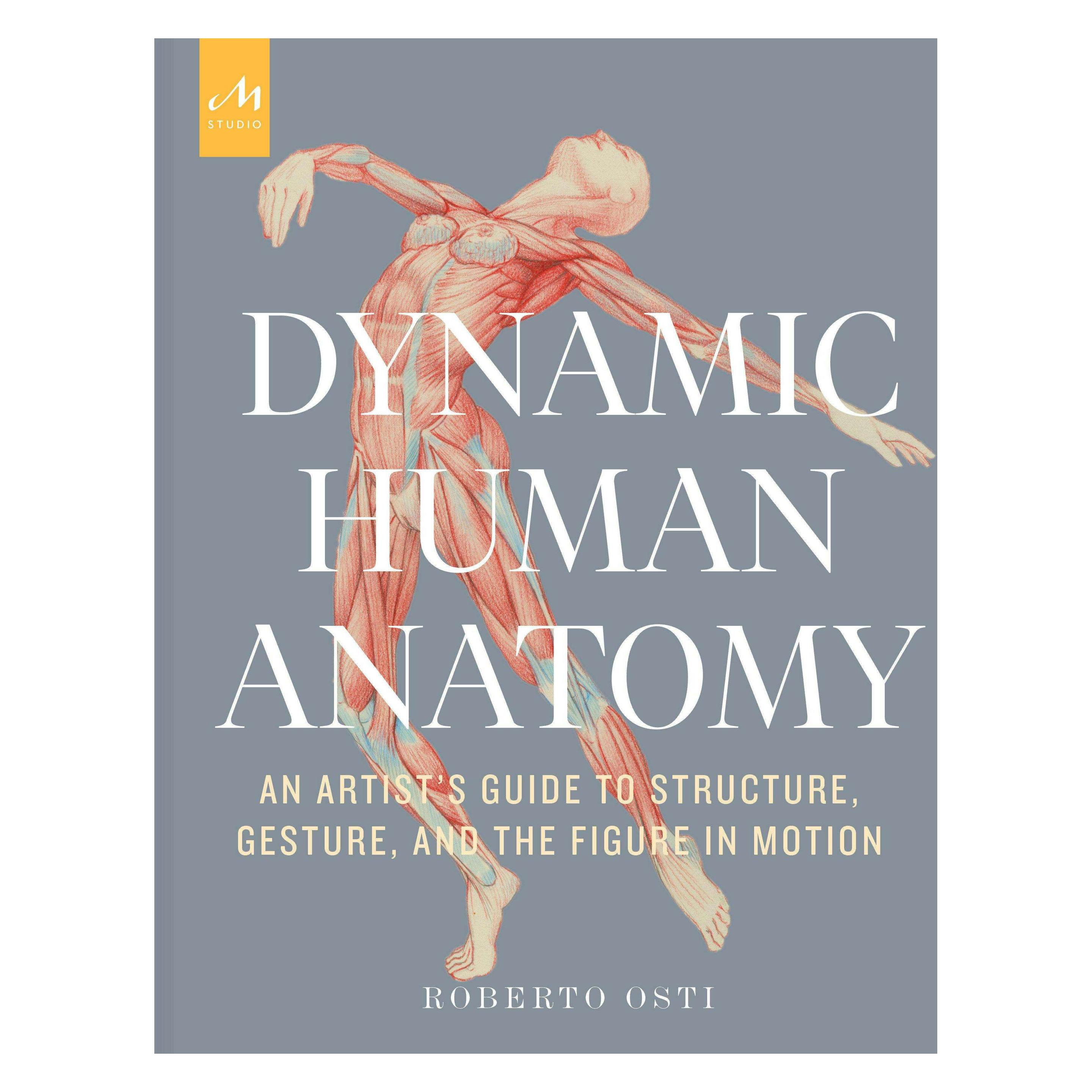 Macmillan Dynamic Human Anatomy - kaufen bei Galaxus