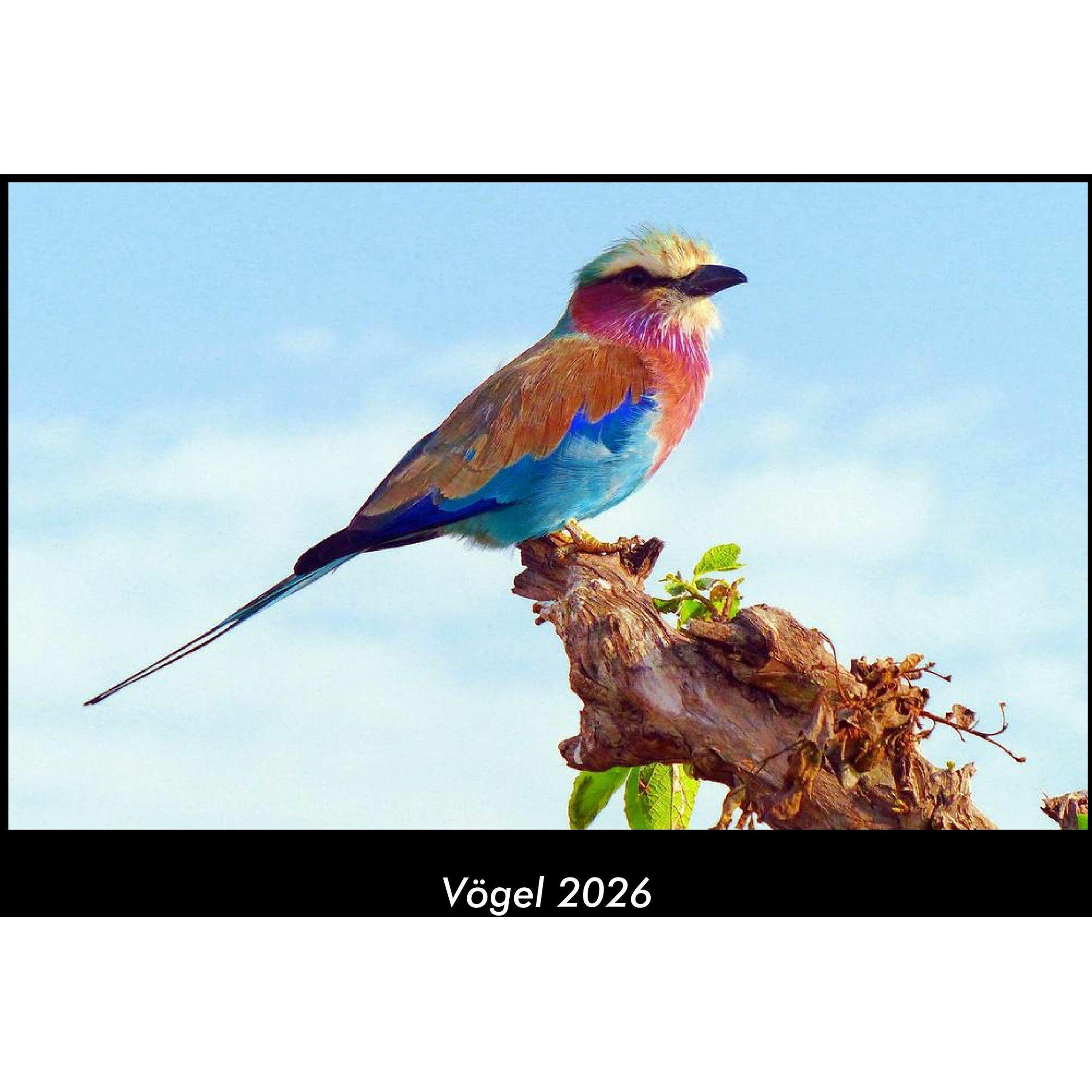Vero Kalender Vögel 2026 Fotokalender DIN A3 - buy at Digitec