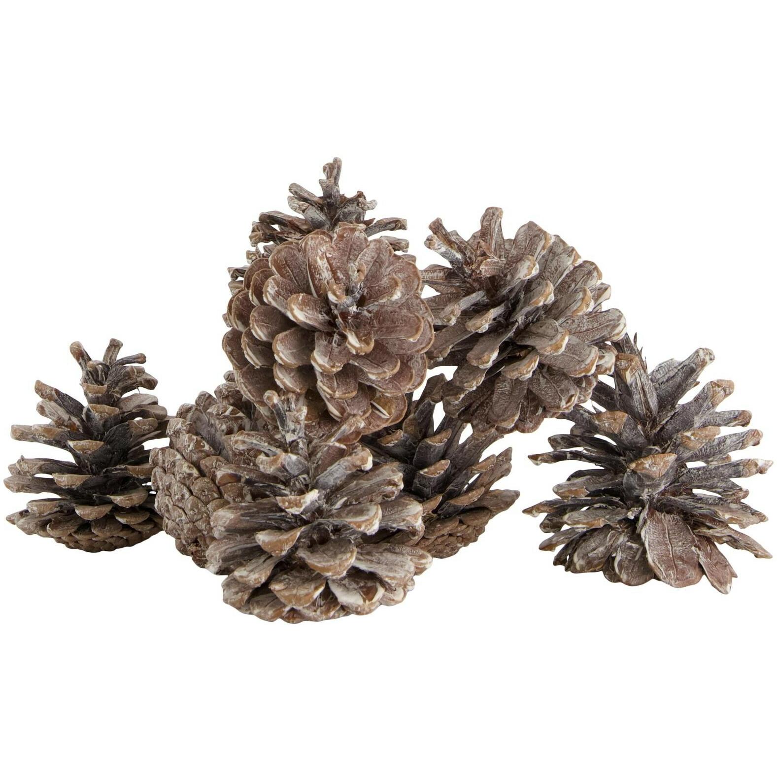 Chalet Streudeko Tannenzapfen 200 g, Braun - buy at Galaxus