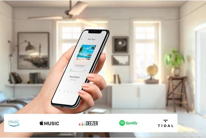 WHD BTR203SET2EXCITER Bluetooth-Receiver Set Mono - kaufen bei Galaxus