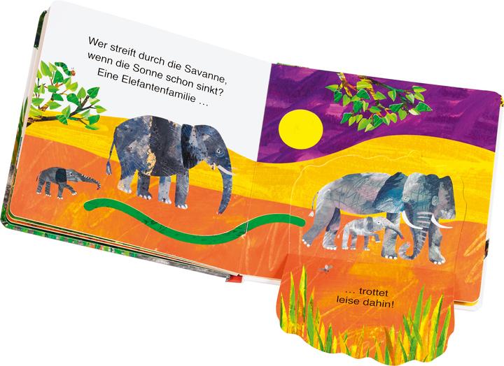 Die kleine Raupe Nimmersatt - Wo verstecken sich die wilden Tiere ...